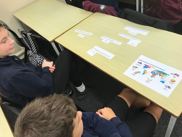 MFL Mentoring Programme – Gowerton School